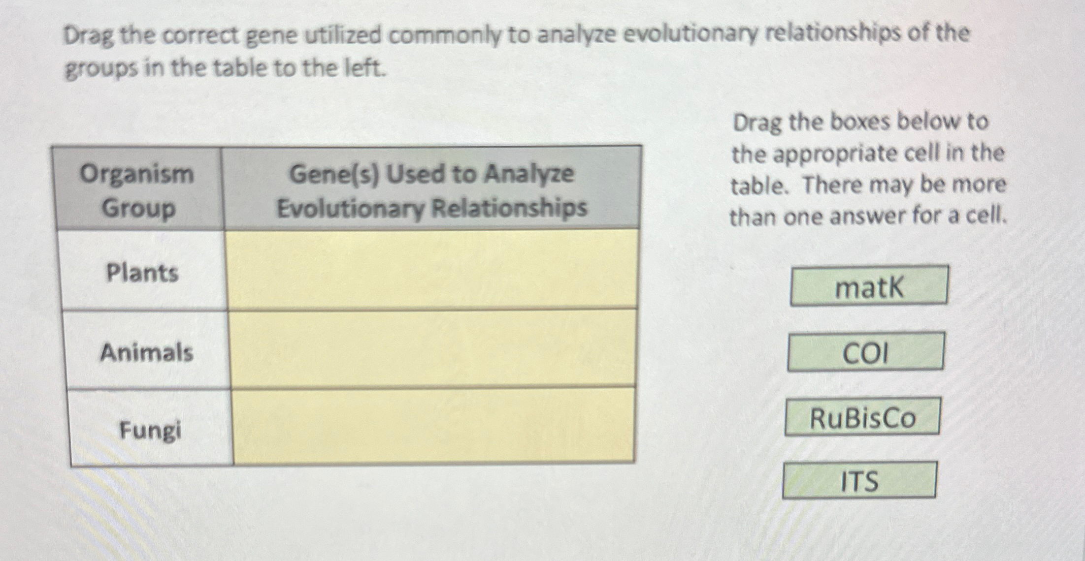 Solved Drag the correct gene utilized commonly to analyze | Chegg.com