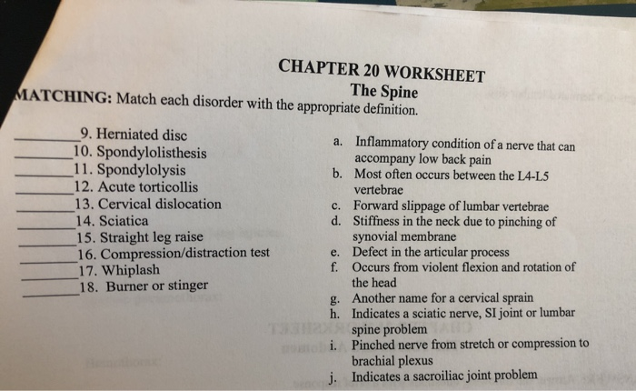 Solved CHAPTER 20 WORKSHEET The Spine MATCHING: Match each | Chegg.com