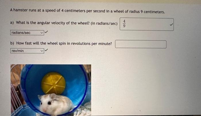 Solved A hamster runs at a speed of 4 centimeters per second | Chegg.com