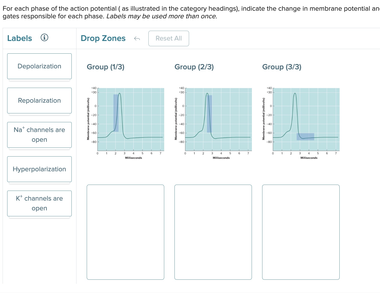 Solved For each phase of the action potential ( ﻿as | Chegg.com