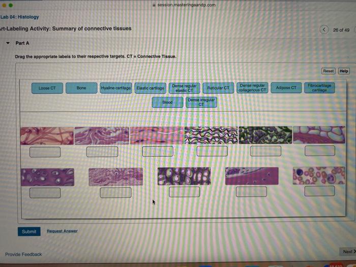 Solved session, masteringaandp.com Lab 04:Histology | Chegg.com