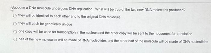 Solved Suppose a DNA molecule undergoes DNA replication. | Chegg.com