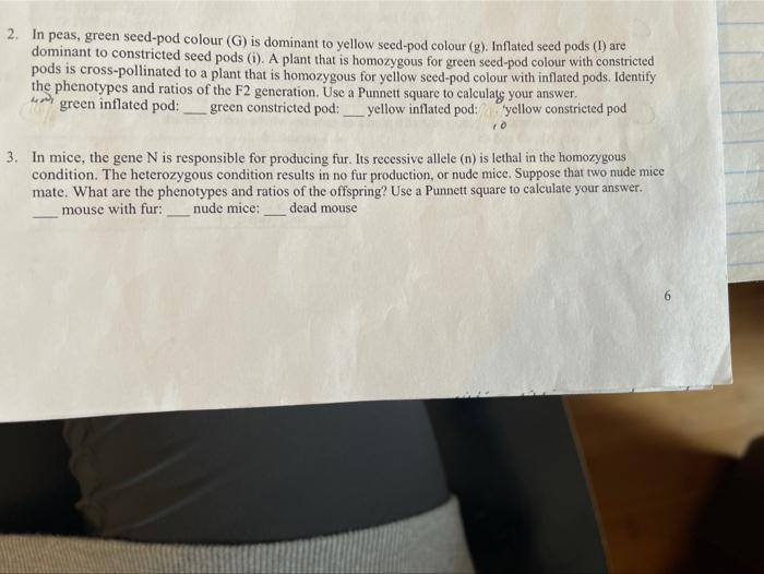 Solved NAME: NLC Biology 30 Chapter 17 Assignment February | Chegg.com