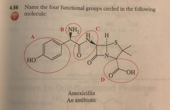 Solved 4.54 Identify all of the functional groups in each of | Chegg.com