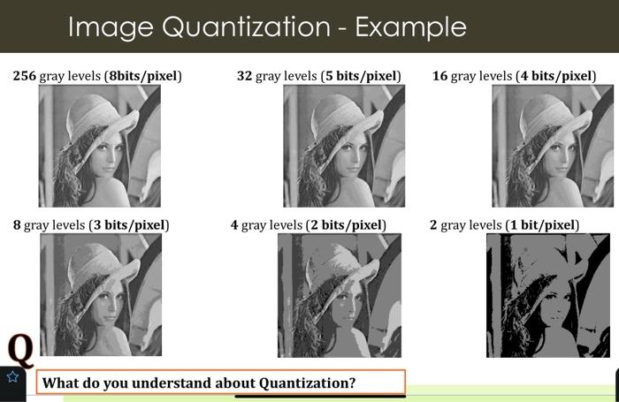 Solved Image Quantization - Example 256 gray levels | Chegg.com