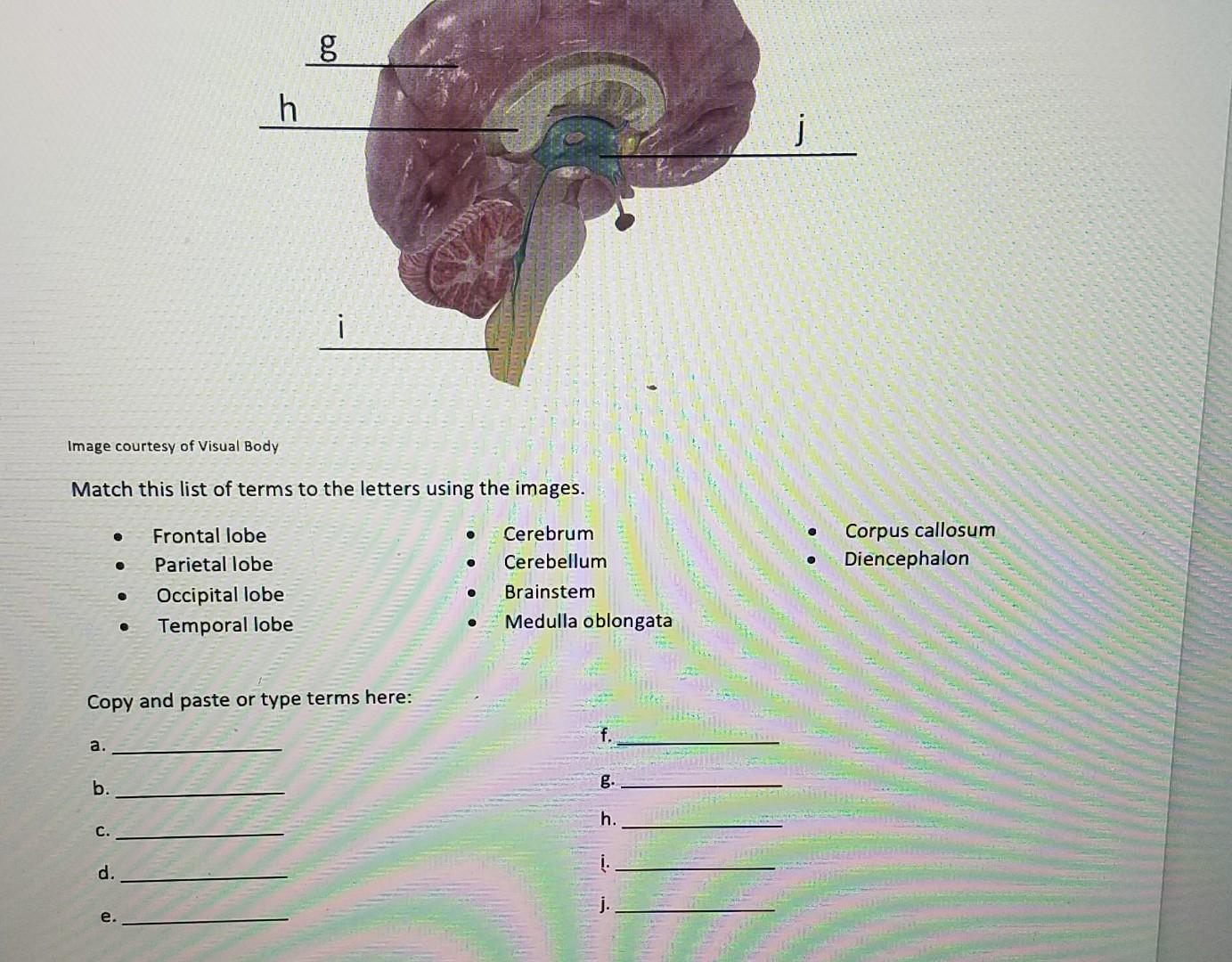 Solved SC144 Unit 3 Lab Assignment Complete each activity | Chegg.com