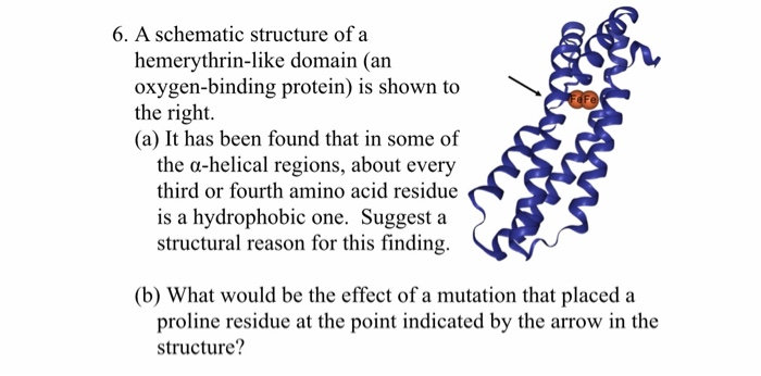 Solved 6. A schematic structure of a hemerythrin-like domain | Chegg.com Solved 6. A schematic structure of a hemerythrin-like domain | Chegg.com