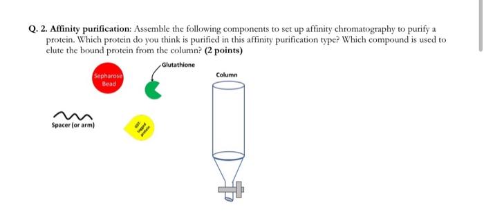 Solved Q. 2. Affinity purification: Assemble the following | Chegg.com