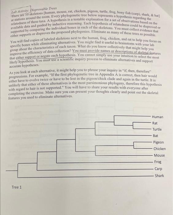 Solved Lab Activity: Disprovable Trees There ane 10 | Chegg.com