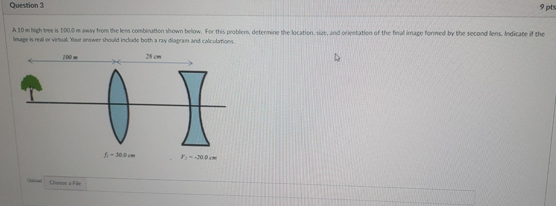 Solved Question 3 9 pts A 10 m high tree is 100.0 m away | Chegg.com