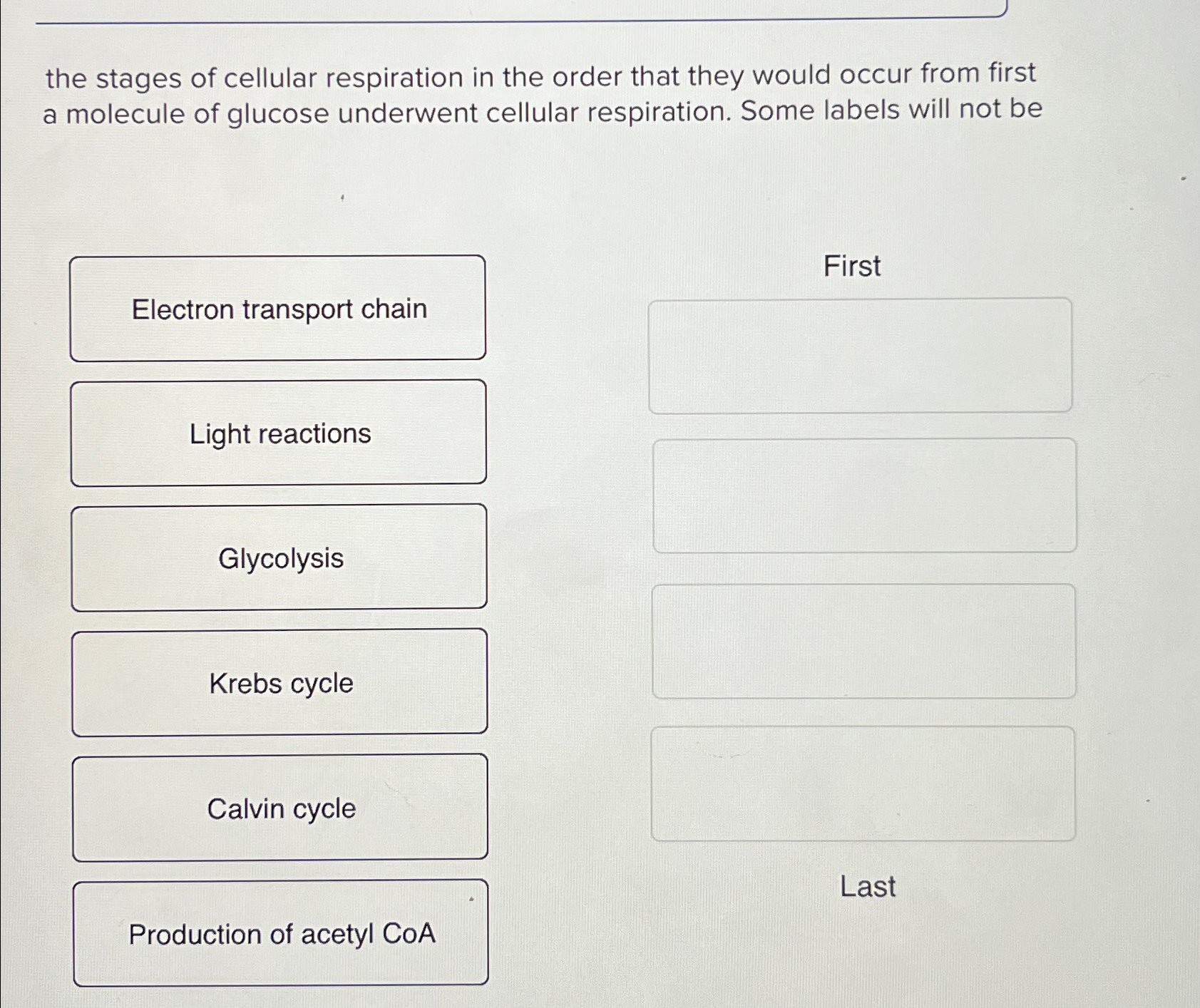 Solved the stages of cellular respiration in the order that | Chegg.com
