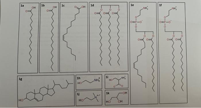 Solved Question 1 [15 marks] a) Sort compounds 1a to 1c in | Chegg.com