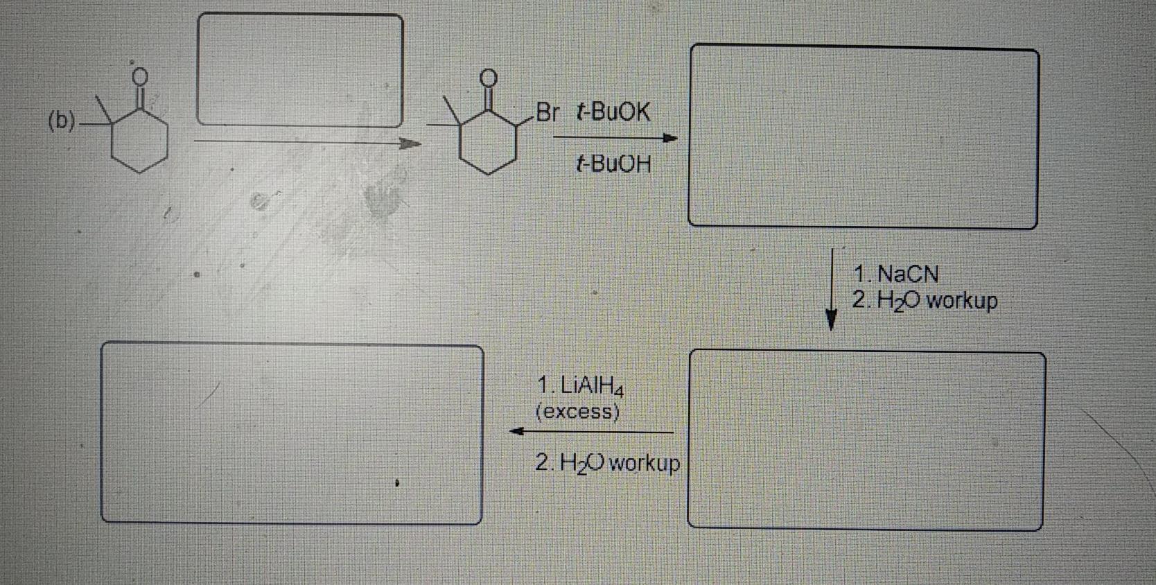 Solved HNO3, H2SO4 H2, Pd/C (a) NaNO2 HCI, 0 °C H-Cro4 HBF4 | Chegg.com
