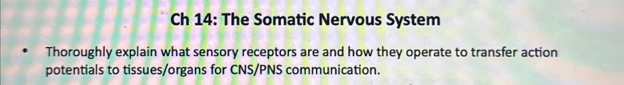 Solved Ch 14: The Somatic Nervous SystemThoroughly explain | Chegg.com
