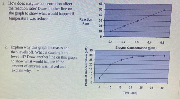 Solved 1. How does enzyme concentration affect the reaction | Chegg.com