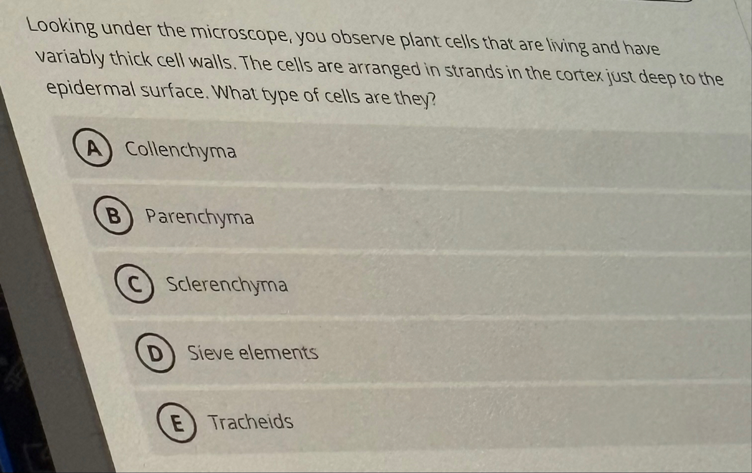Solved Looking under the microscope, you observe plant cells | Chegg.com