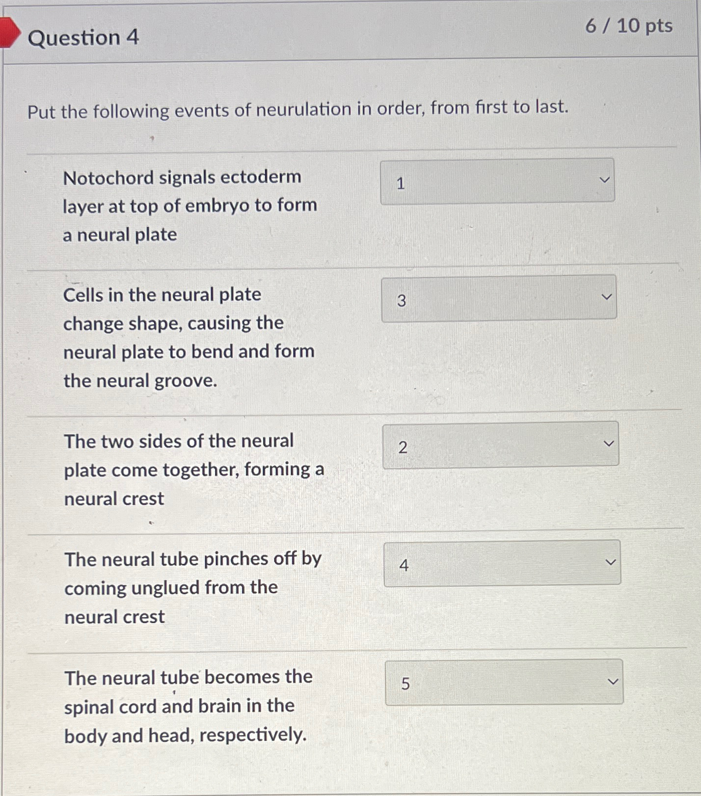 Solved Put the following events of neurulation in order, | Chegg.com