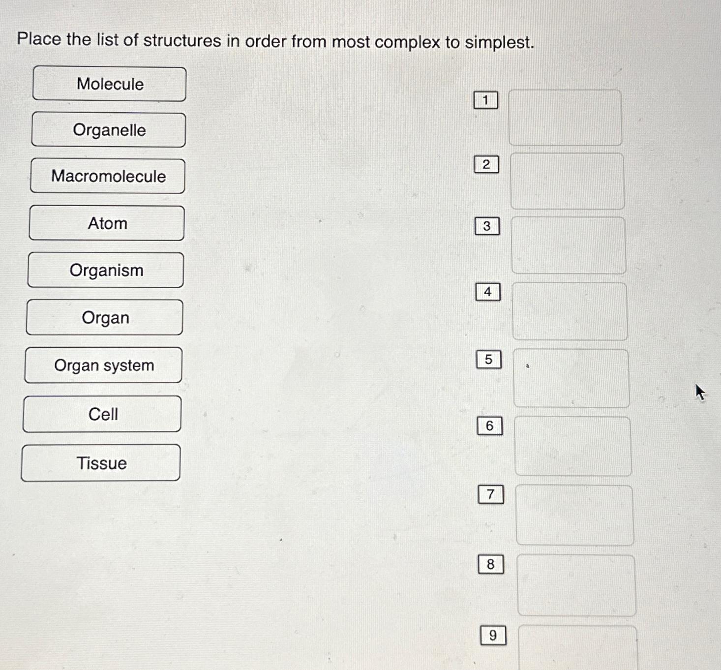 Solved Place the list of structures in order from most | Chegg.com