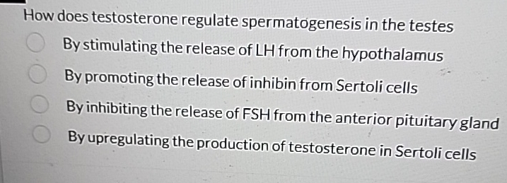 Solved How does testosterone regulate spermatogenesis in the | Chegg.com