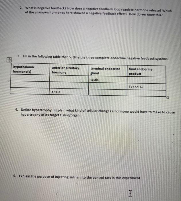 Solved Endocrine System Function Small Group Discussion #1 | Chegg.com