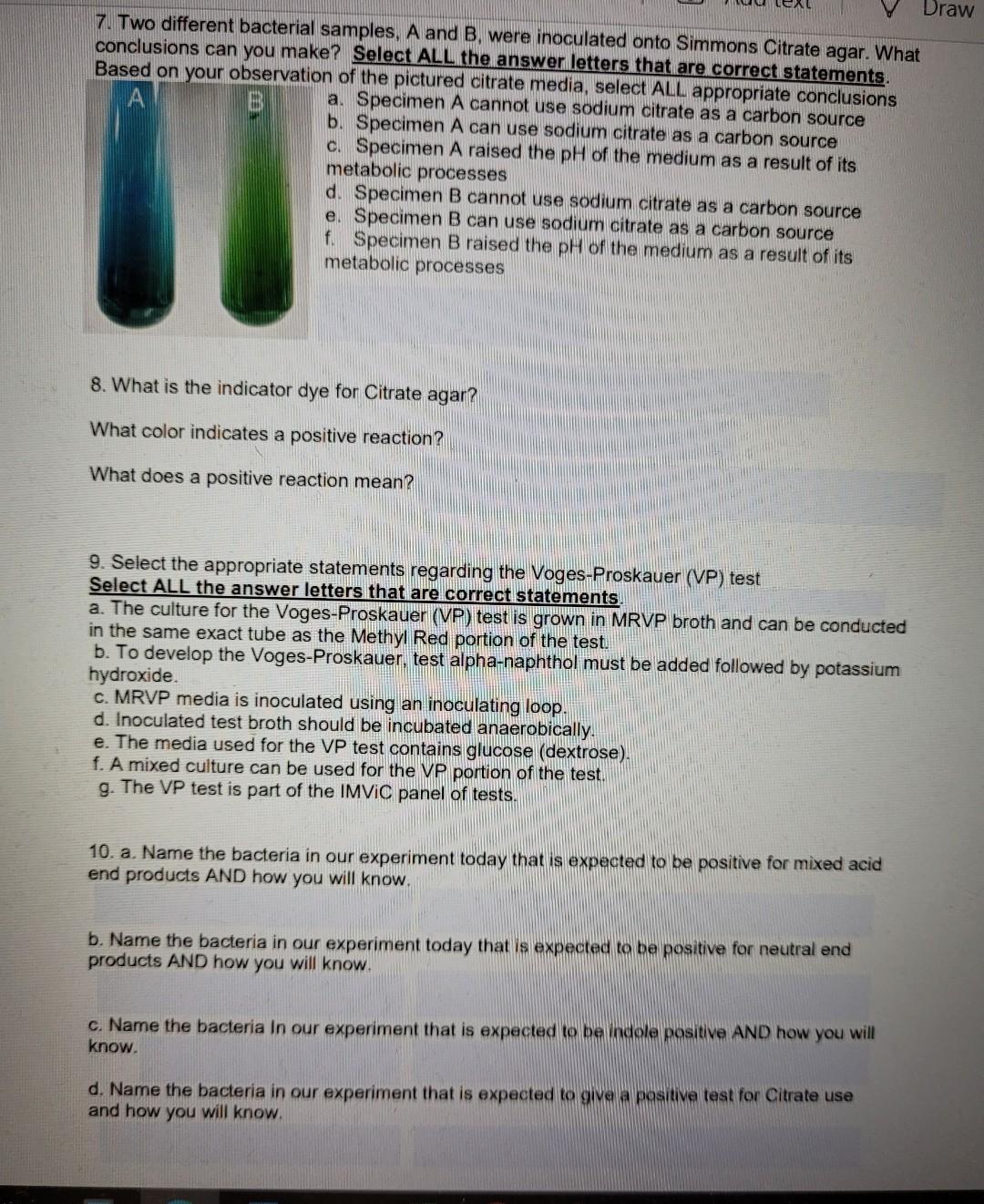 Solved 7. Two different bacterial samples, A and B, were | Chegg.com