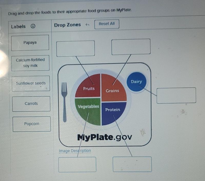 Solved Drag and drop the foods to their appropriate food | Chegg.com