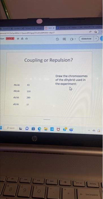 Coupling or Repulsion? Draw the chromosomes of the | Chegg.com