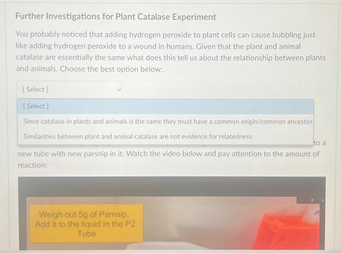 Solved Further Investigations for Plant Catalase Experiment | Chegg.com