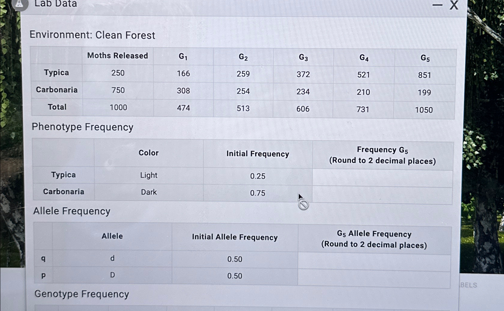 Solved Environment: Clean Forest\table[[,Moths | Chegg.com