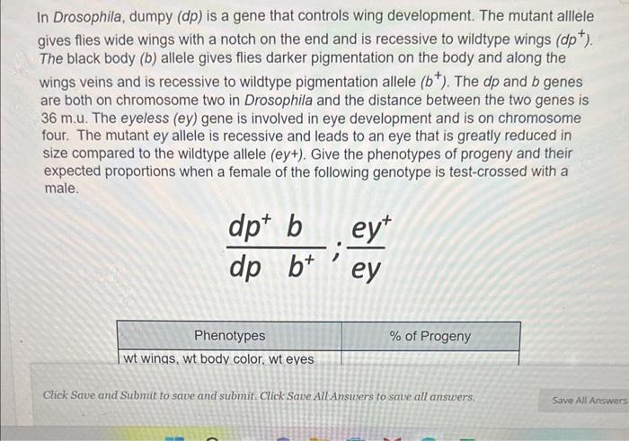 Solved In Drosophila, dumpy (dp) is a gene that controls | Chegg.com