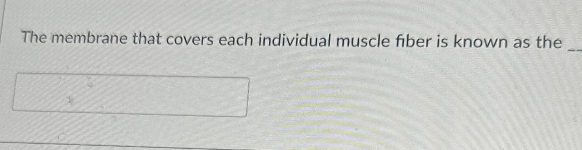 Solved The membrane that covers each individual muscle fiber | Chegg.com