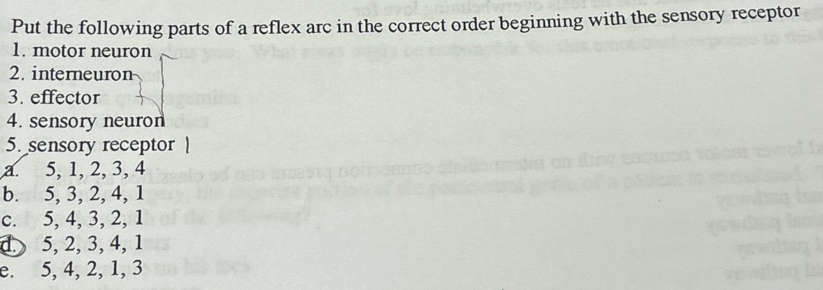 Solved Put the following parts of a reflex arc in the | Chegg.com