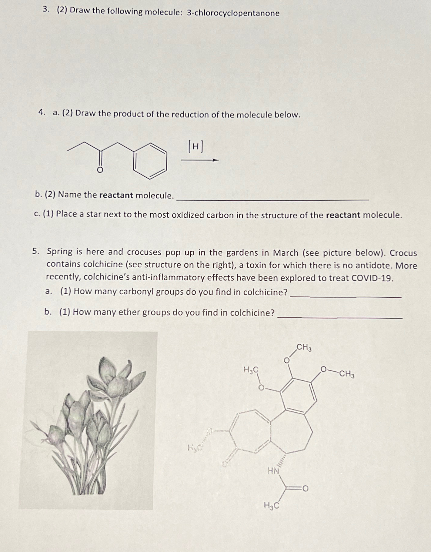 Solved (2) ﻿Draw the following molecule: | Chegg.com