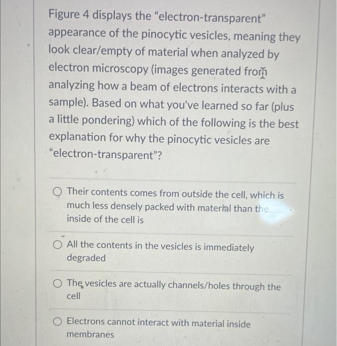 Solved Figure 4 displays the "electron-transparent" | Chegg.com
