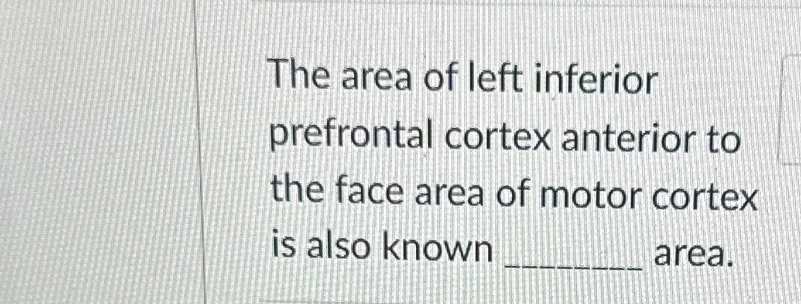 Solved The area of left inferior prefrontal cortex anterior | Chegg.com