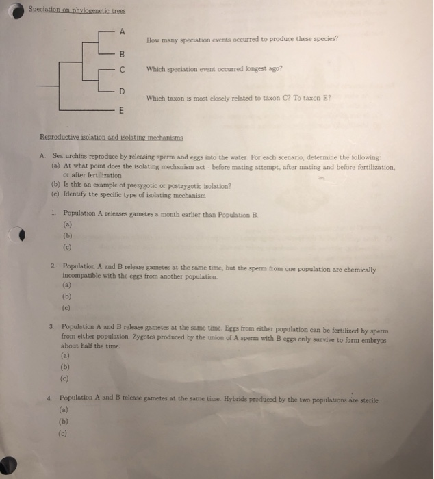 Solved Speciation on phylogenetic trees А How many | Chegg.com Solved Speciation on phylogenetic trees А How many | Chegg.com