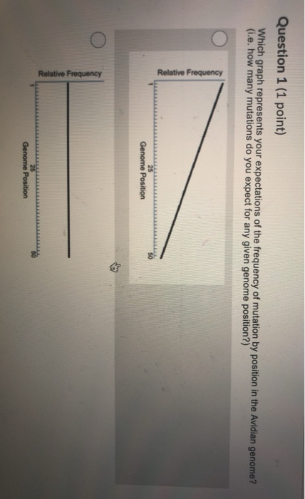 Solved Question 1 (1 point) Which graph represents your | Chegg.com
