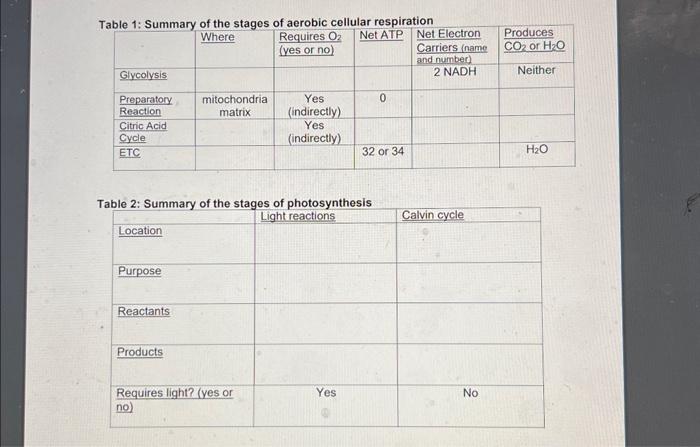 Table 1: Summary of the stages of aerobic cellular | Chegg.com