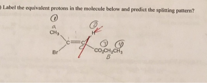 Solved Label the equivalent protons in the molecule below | Chegg.com