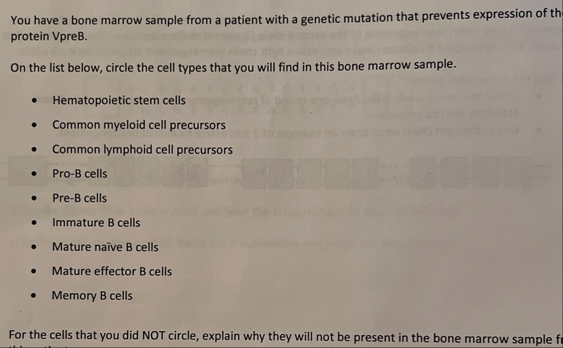 Solved You have a bone marrow sample from a patient with a | Chegg.com