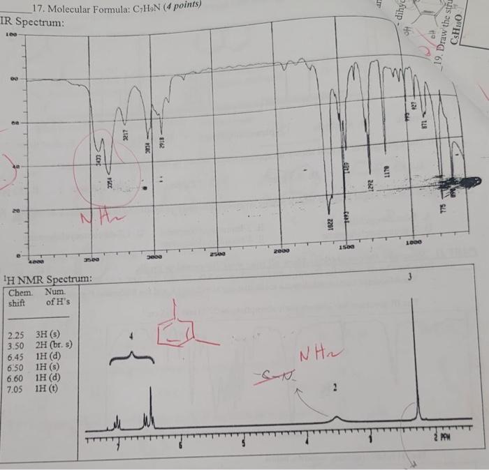 Solved 17. Molecular Formula: C7H9 N (4 points) | Chegg.com