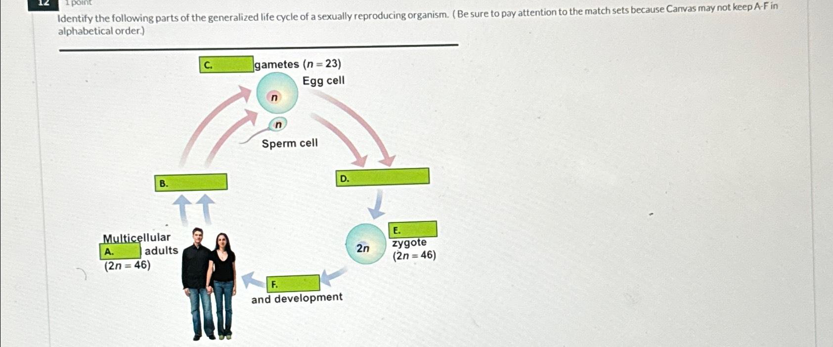 Solved Identify the following parts of the generalized life | Chegg.com