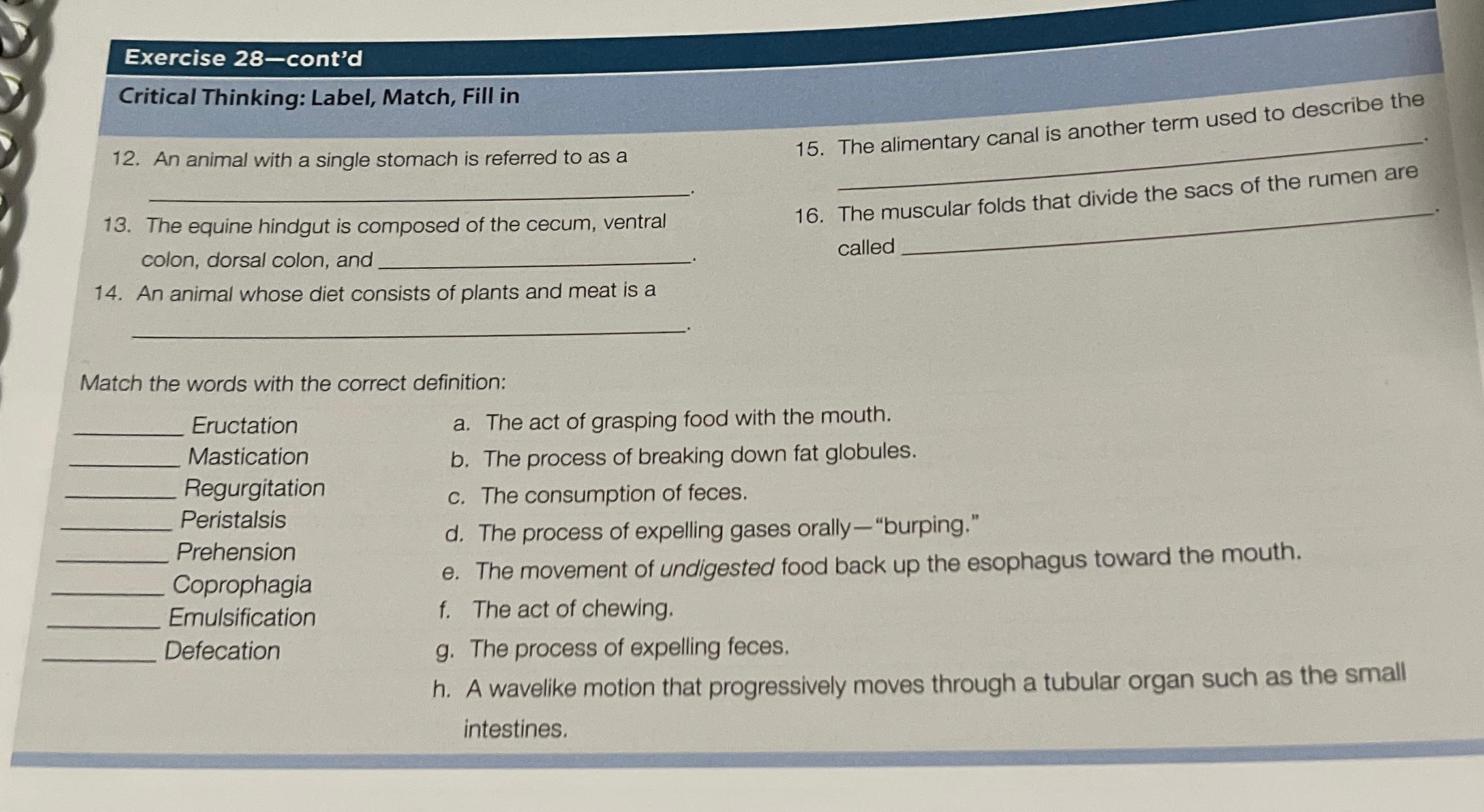Solved Exercise 28-cont'dCritical Thinking: Label, Match, | Chegg.com