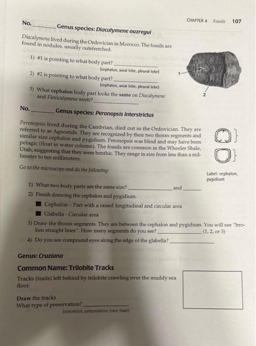 Solved 2) #2 is pointing to what body part? (cephalon, awial | Chegg.com