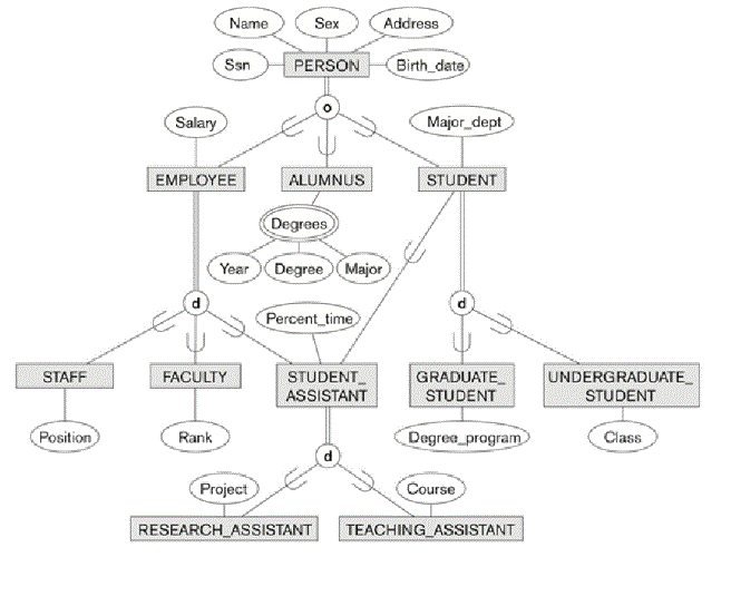 List all the immediate subclasses the Person entity | Chegg.com