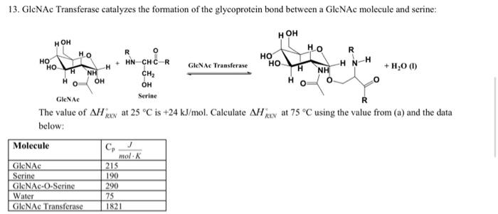 13. GleNAc Transferase catalyzes the formation of the | Chegg.com