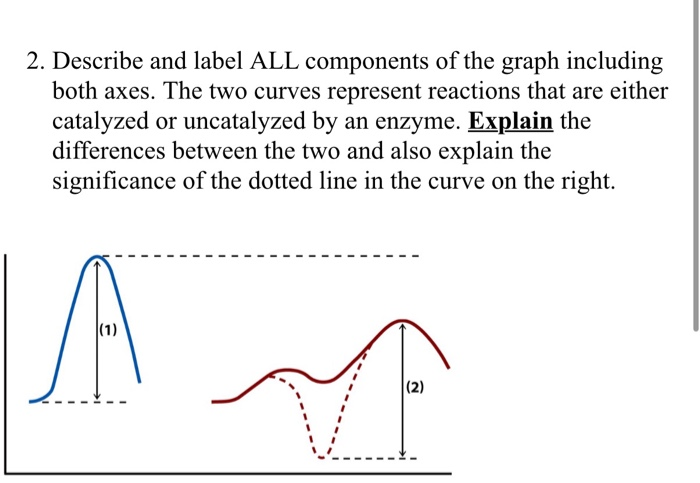 Solved 2. Describe and label ALL components of the graph | Chegg.com