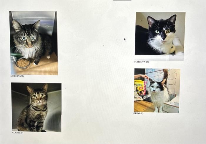 Solved Complete the table. To create a table, seiect the | Chegg.com