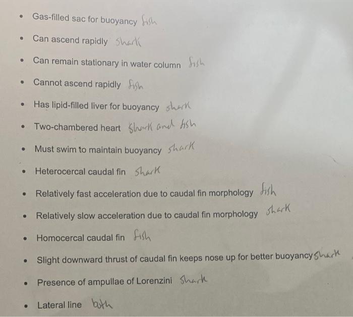 Solved Designate Fish, Shark, or Both for each of the | Chegg.com