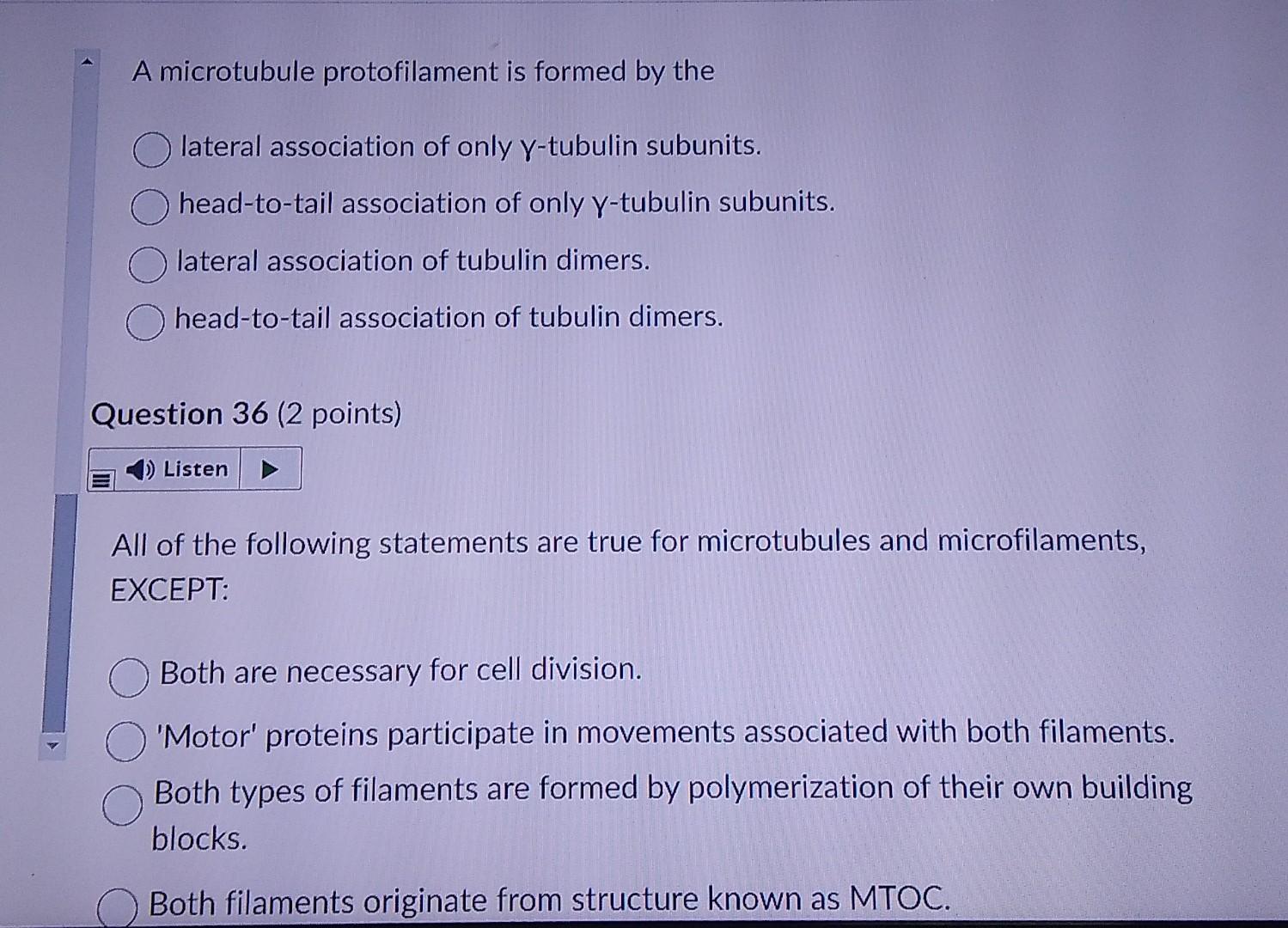 Solved A microtubule protofilament is formed by the lateral | Chegg.com